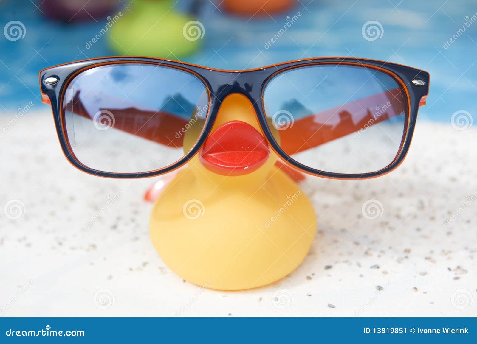 Vacation duck editorial photo. Image of duck, glasses - 13819851