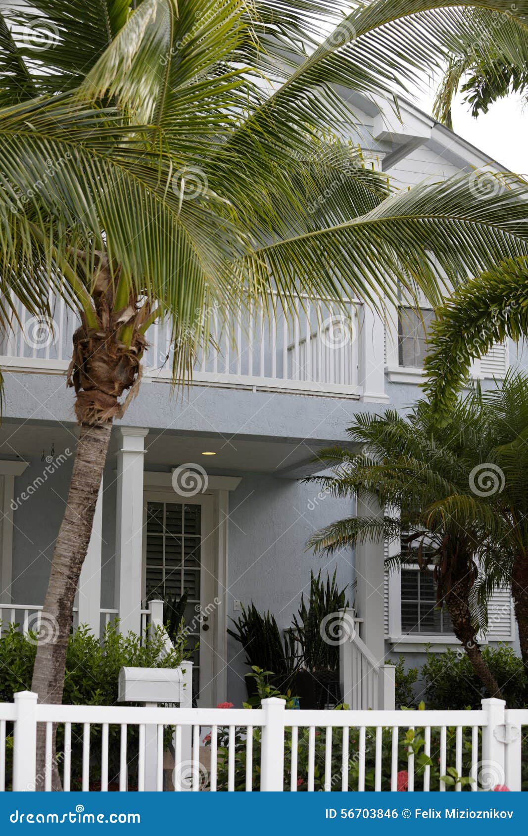Vacation Home with Palm Trees Stock Photo - Image of rental, white ...