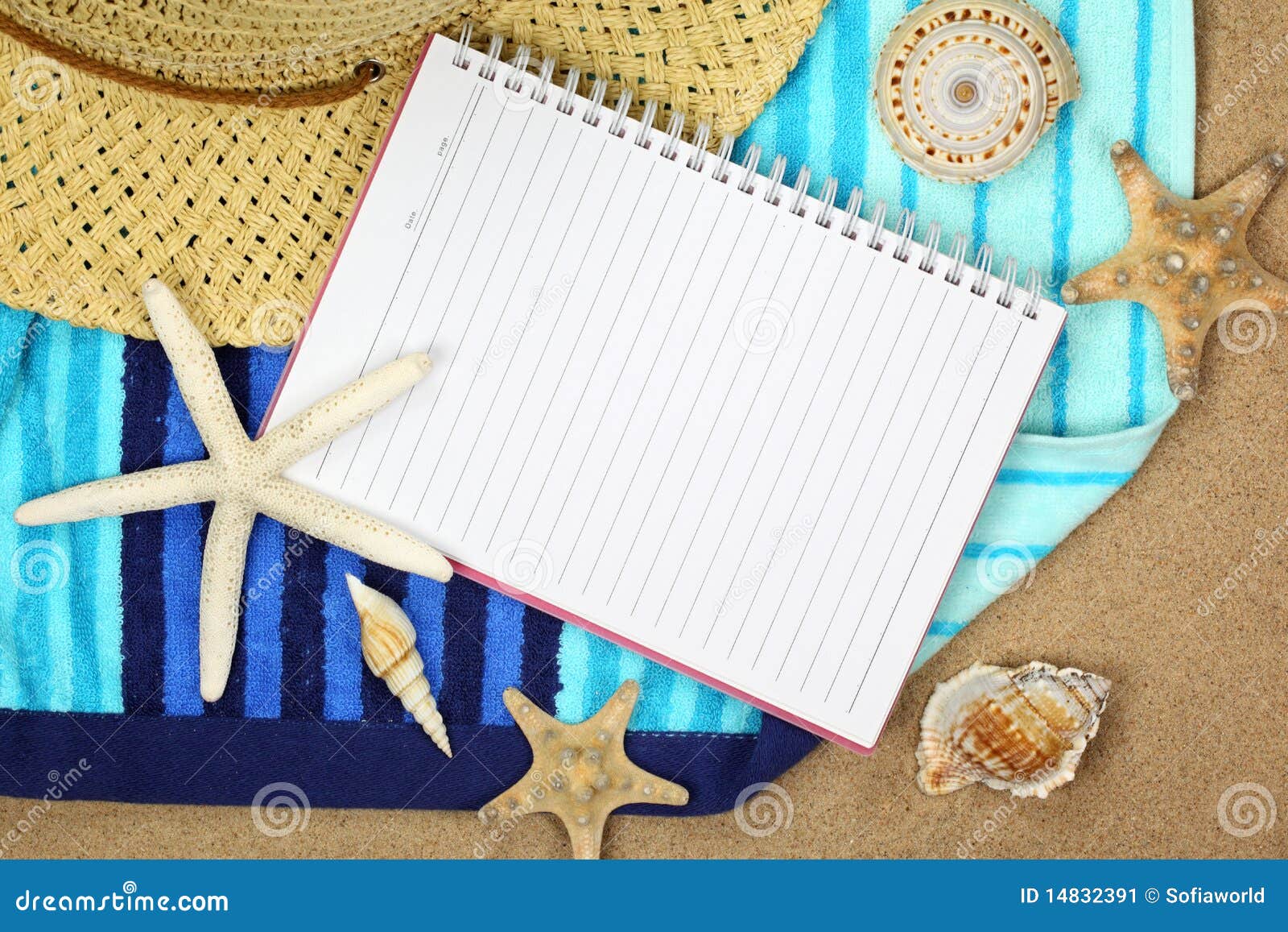 Vacation memory from beach stock image. Image of crustacean - 14832391