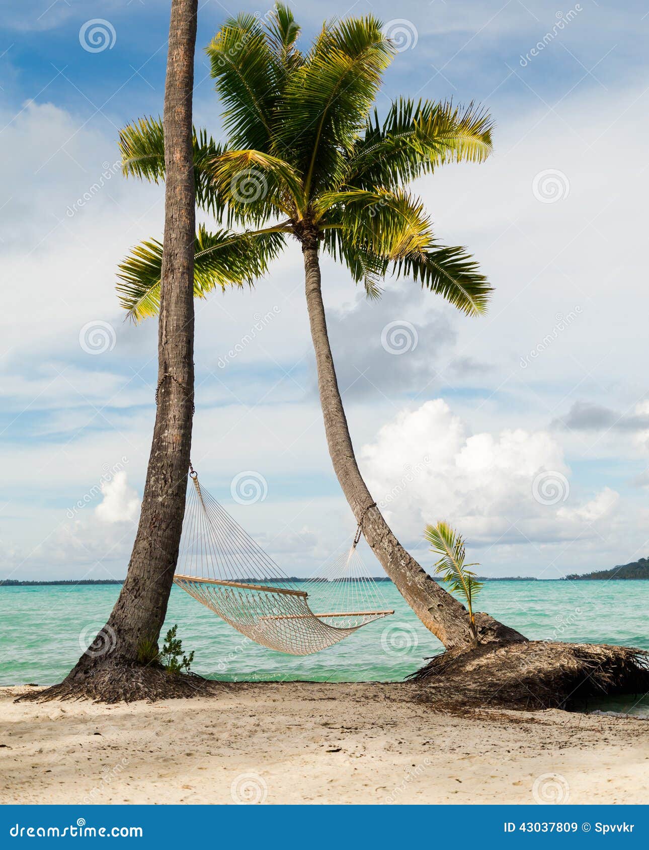 Vacations in paradise stock image. Image of happy, polynesia - 43037809