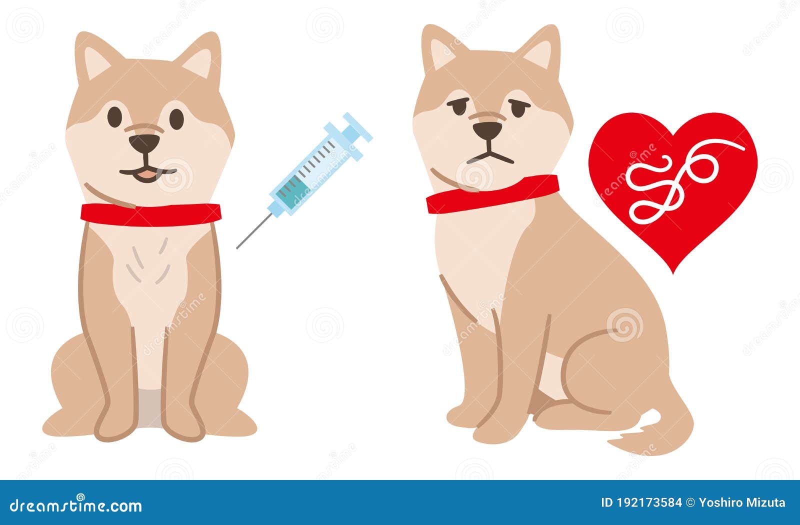 Vaccinated Dogs and Dogs Infected with Heartworm Stock Vector ...