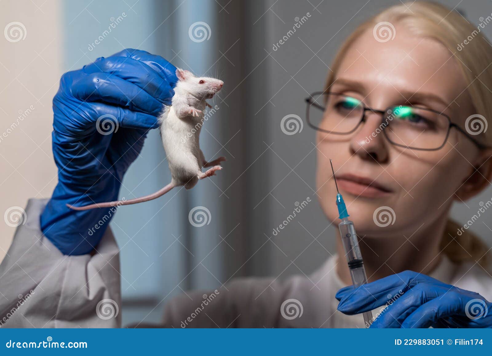 Vaccination of a Small White Mouse. Collection of Analyzes before a ...
