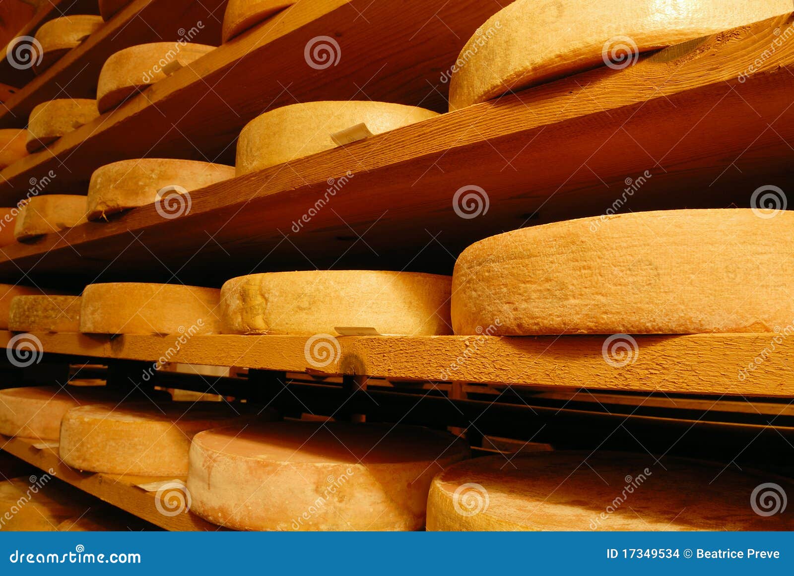 Vacherin Fribourgeois Cheese Stock Photo - Image of cheese, swiss: 17349534