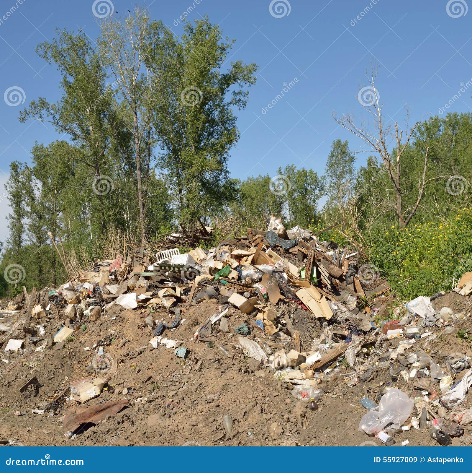 Vaciado De Basura En Bosque Imagen de archivo - Imagen de parque ...