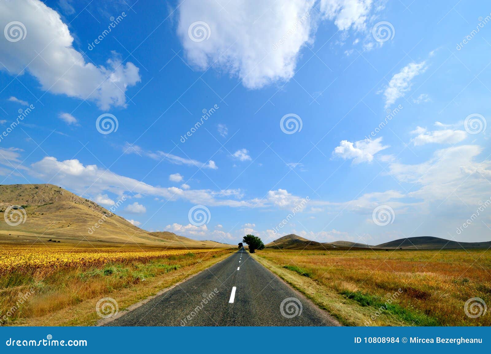 Vacie La Carretera Nacional Foto de archivo - Imagen de grano, apacible ...