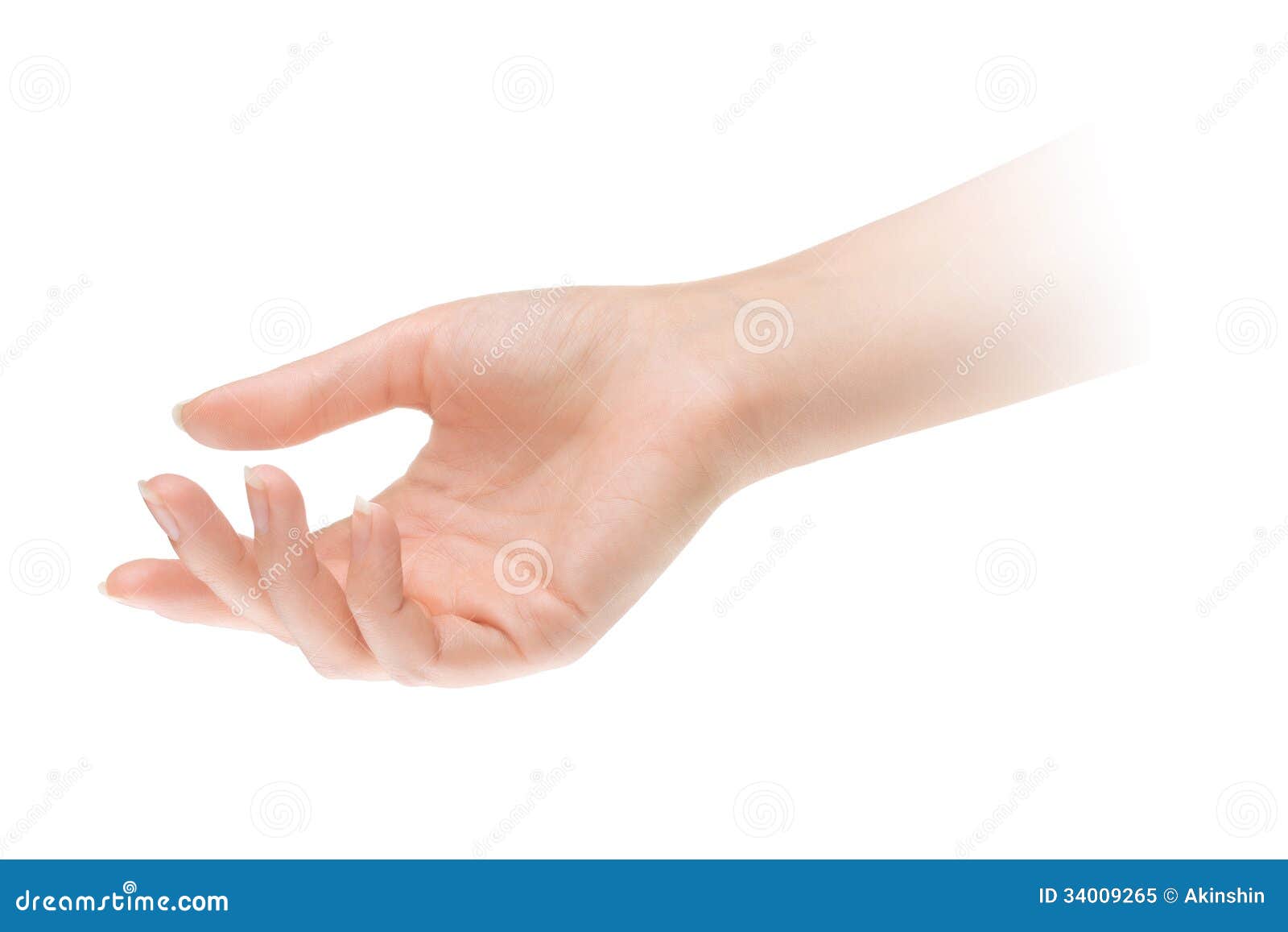 Vacie La Mano Abierta De La Mujer Imagen de archivo - Imagen de aislado ...