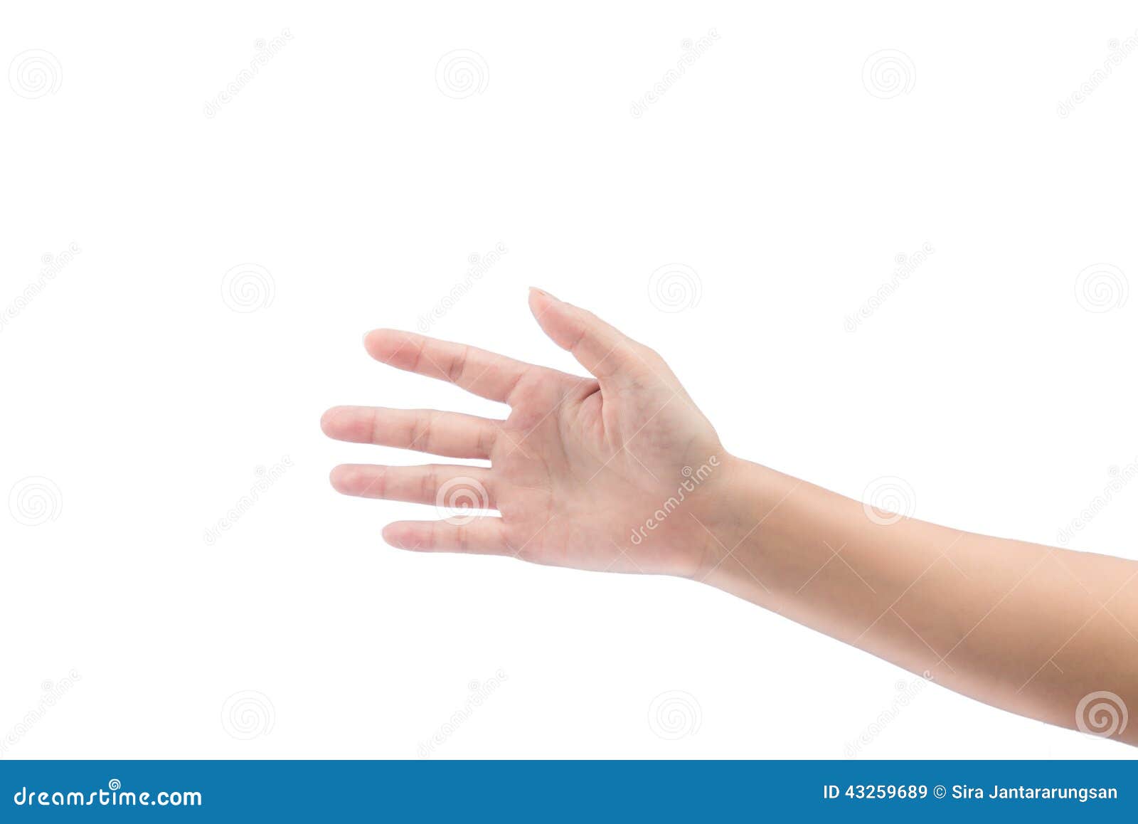 Vacie La Mano Abierta De La Mujer Imagen de archivo - Imagen de pulgar ...