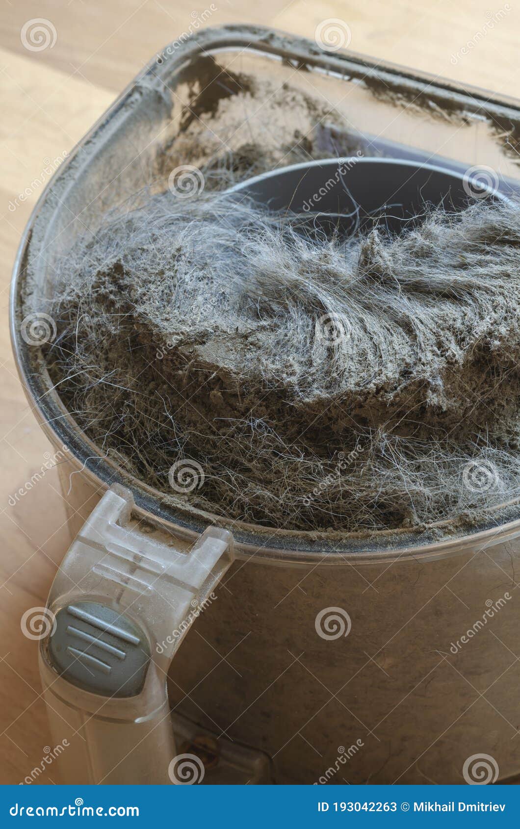 Vacuum Cleaner Container with Garbage Stock Image - Image of domestic ...