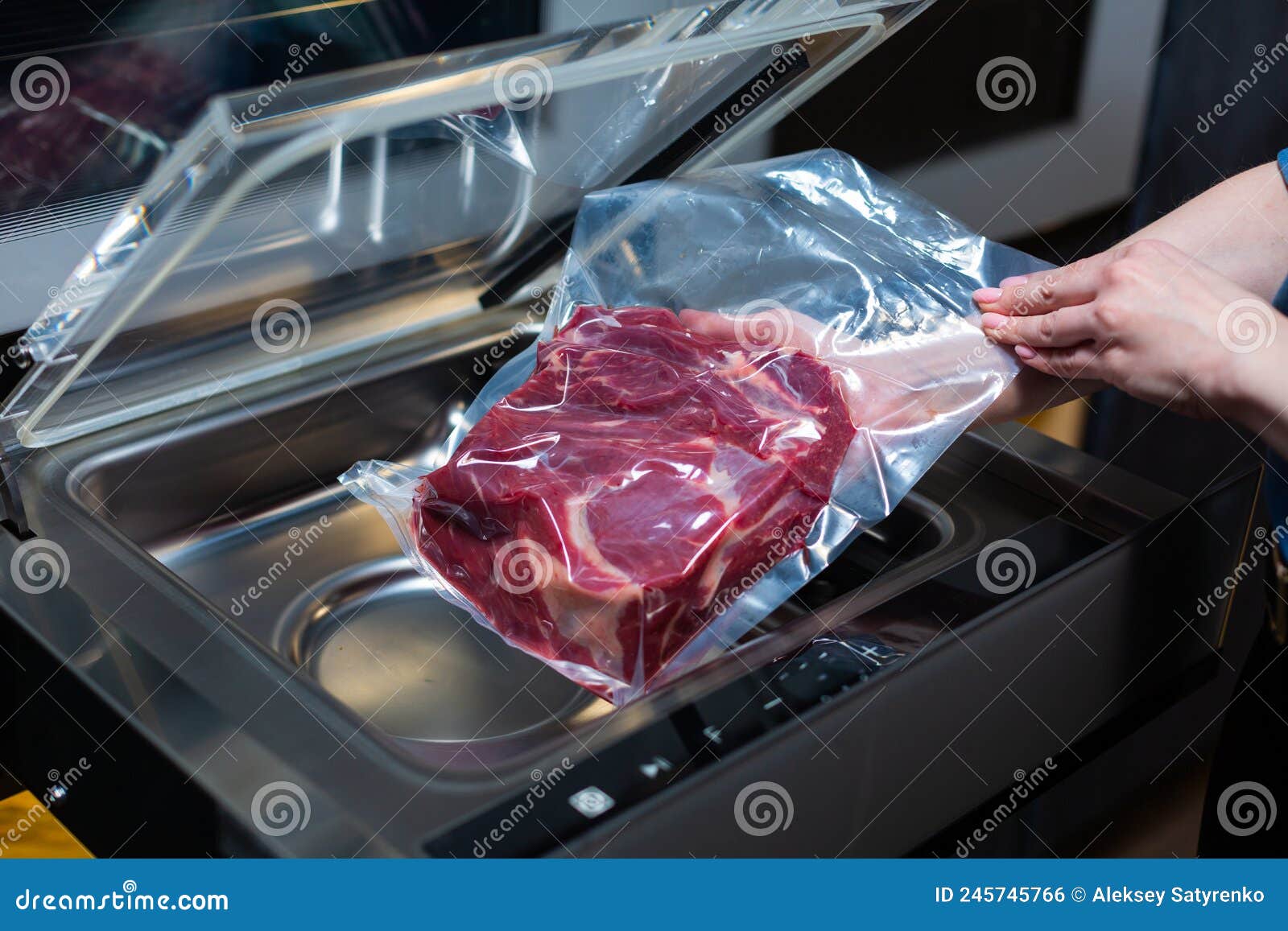 Vacuum Cleaner and Vacuum Packaging of Meat Products Stock Photo ...