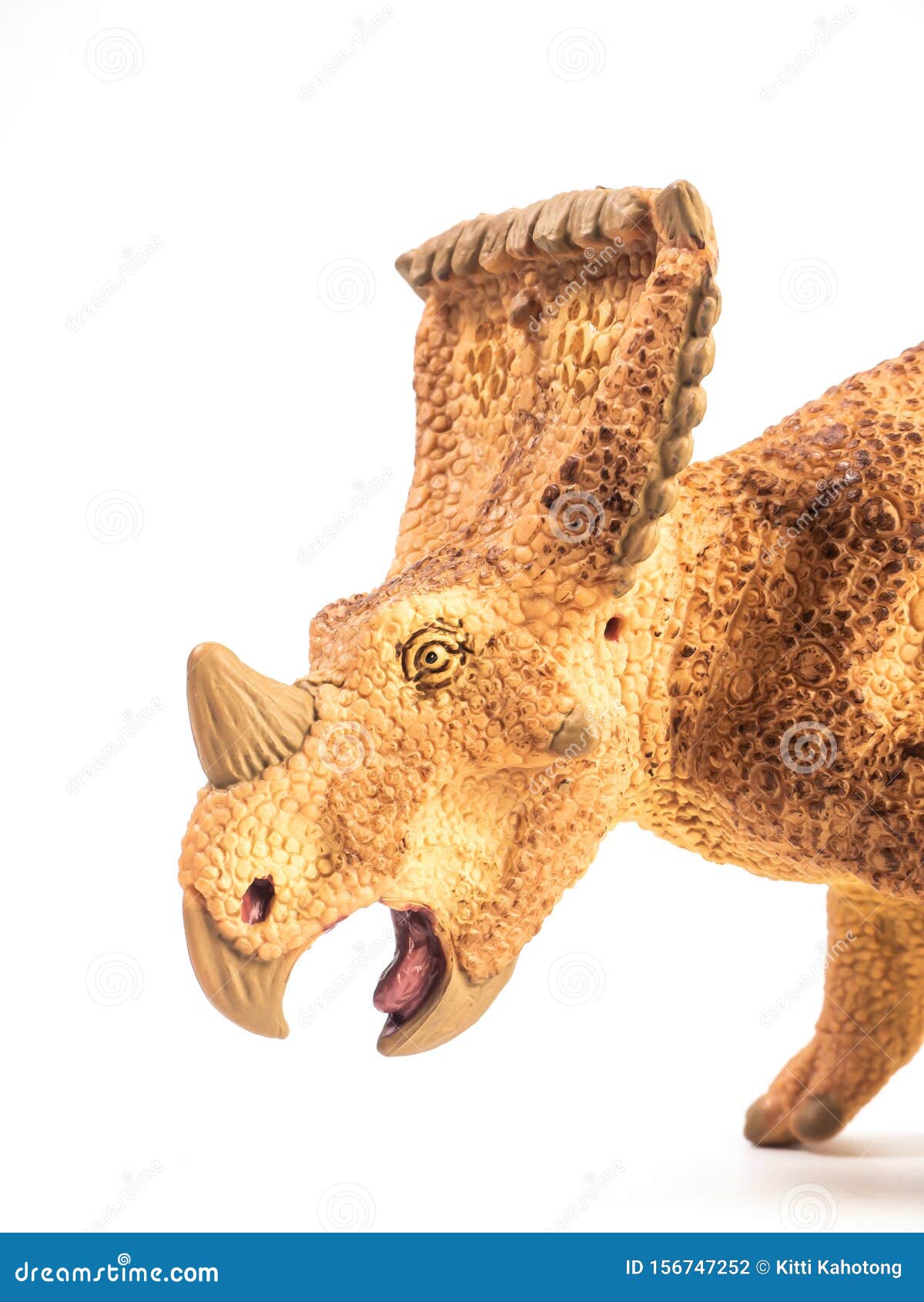 Vagaceratops Triceratops Dinosaur on White Background Stock Photo ...