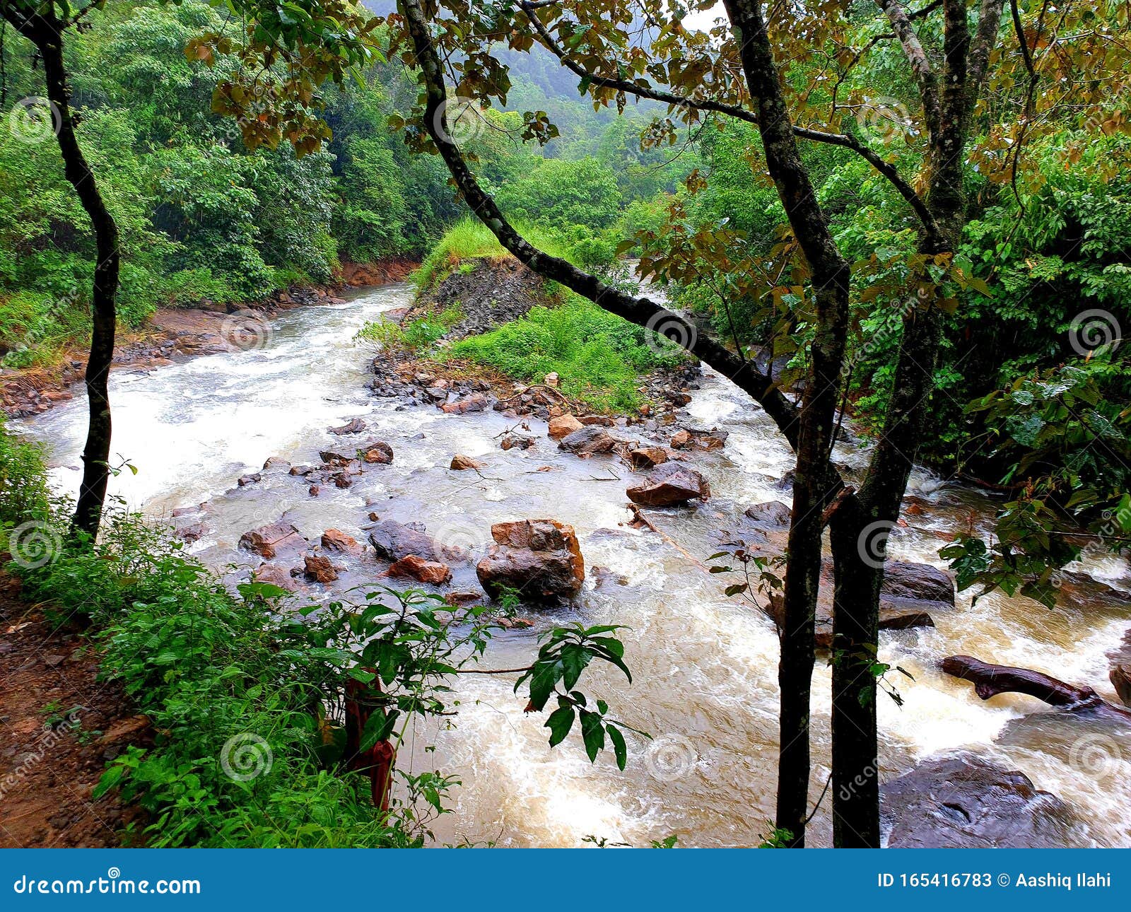 Vagamon, Kerala stock image. Image of kerala, vagamon - 165416783 Vagamon, Kerala stock image. Image of kerala, vagamon - 165416783