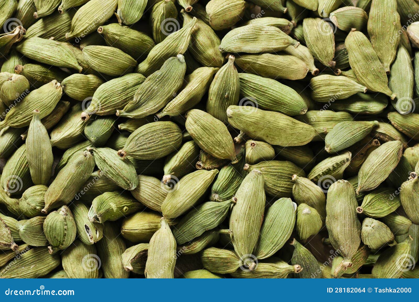 Vagens Verdes Do Cardamomo (Cardamon) Foto de Stock - Imagem de ...