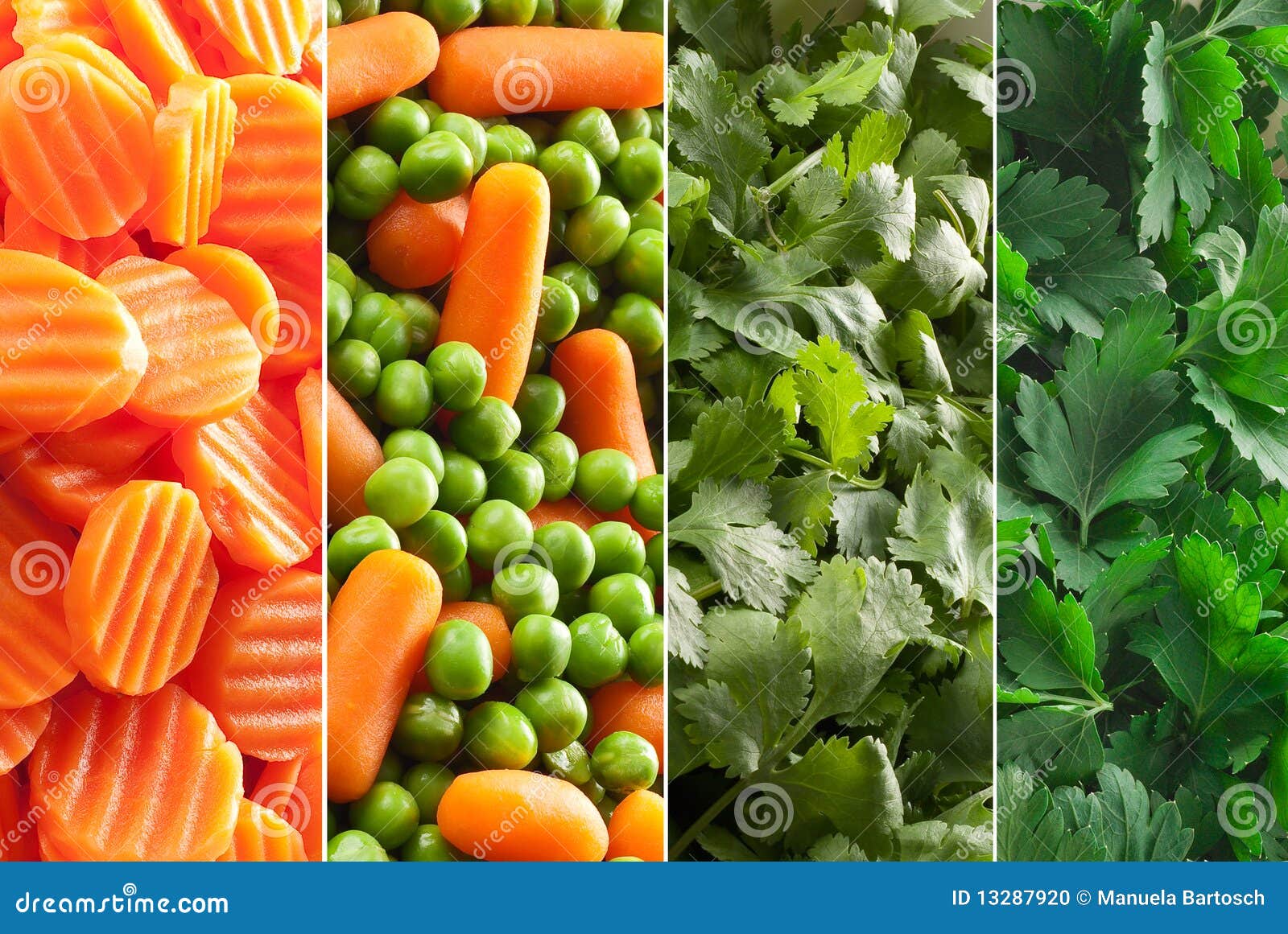 Vagetable backgrounds stock photo. Image of food, vegetarian - 13287920