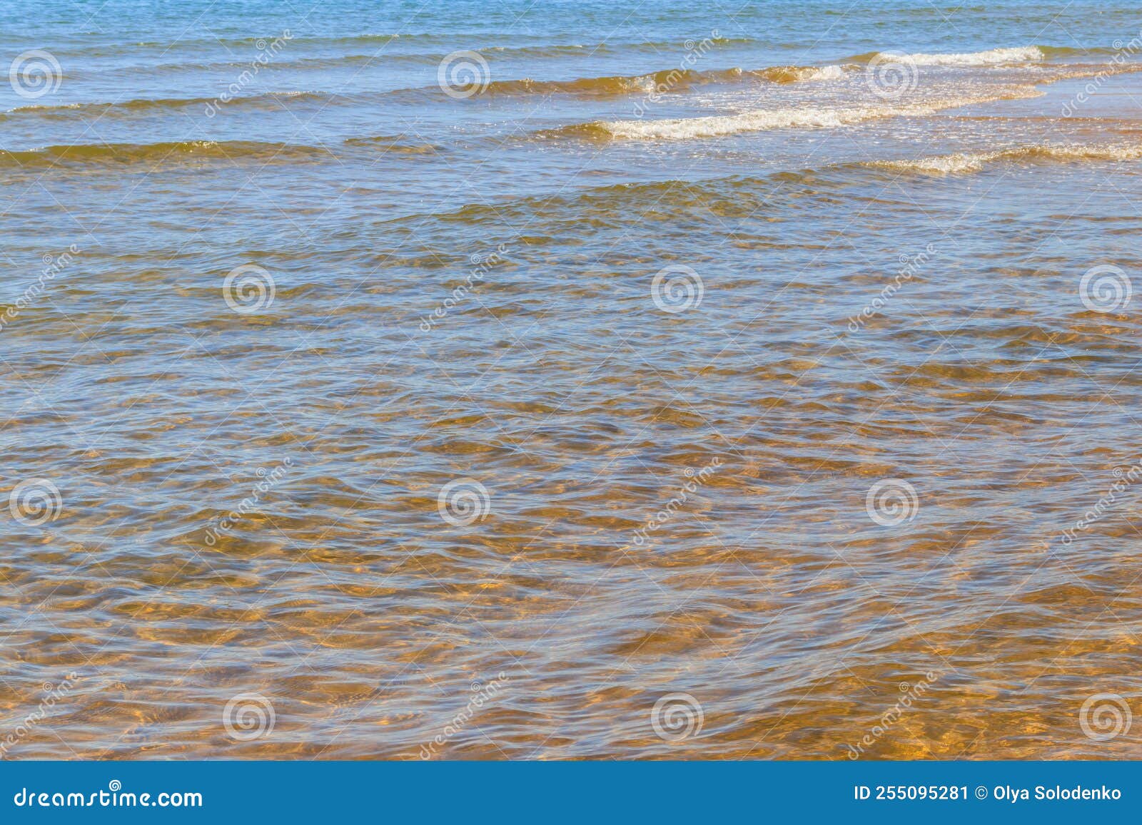 Vague Douce De La Mer Sur La Plage De Sable Image stock - Image du ...