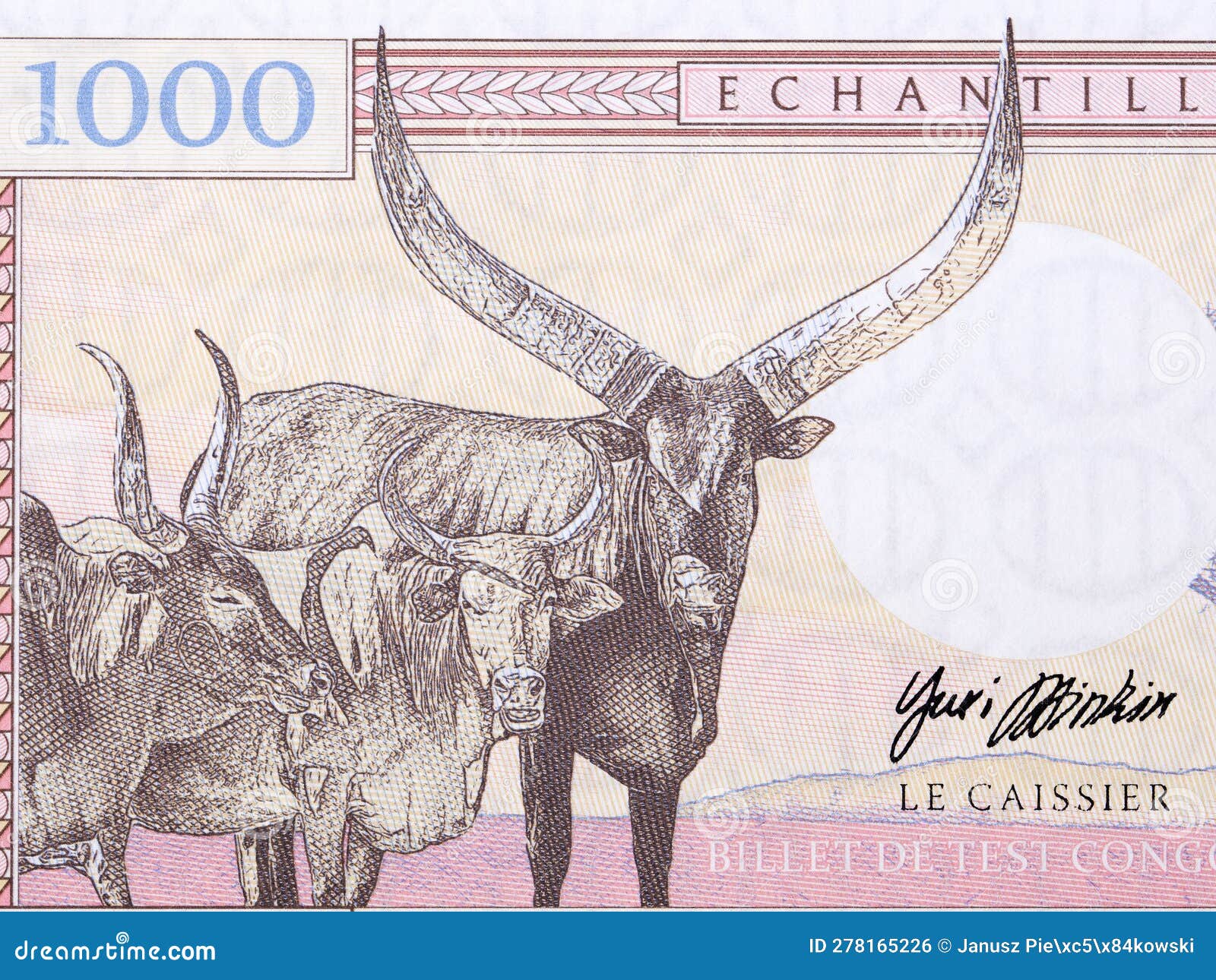 Vahum Cattle from Congolese Money Editorial Photo - Image of africa ...