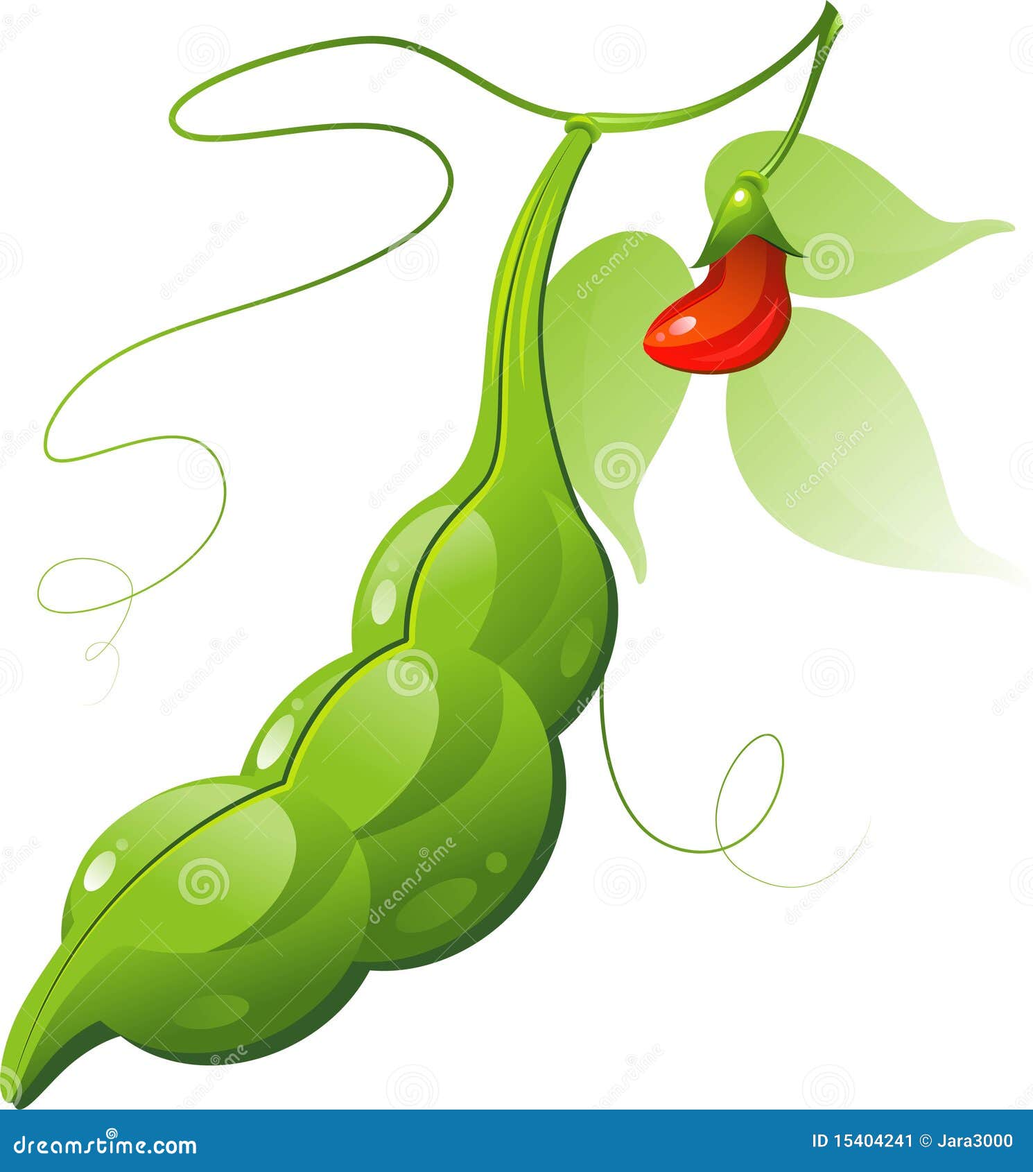 Vaina de haba ilustración del vector. Ilustración de vegetariano - 15404241