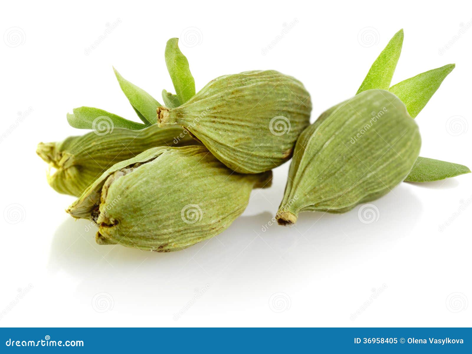 Vainas Verdes Del Cardamomo Imagen de archivo - Imagen de macro ...