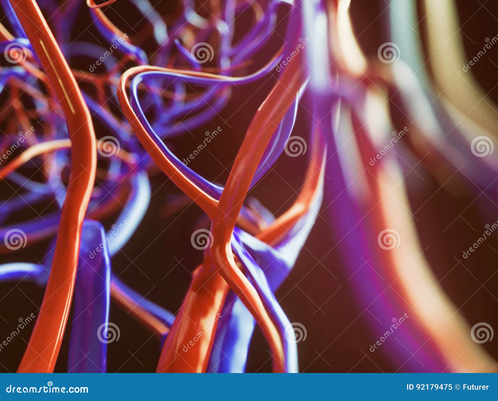 Vaisseaux Sanguins D'un Humain - Rendu 3D Illustration Stock ...