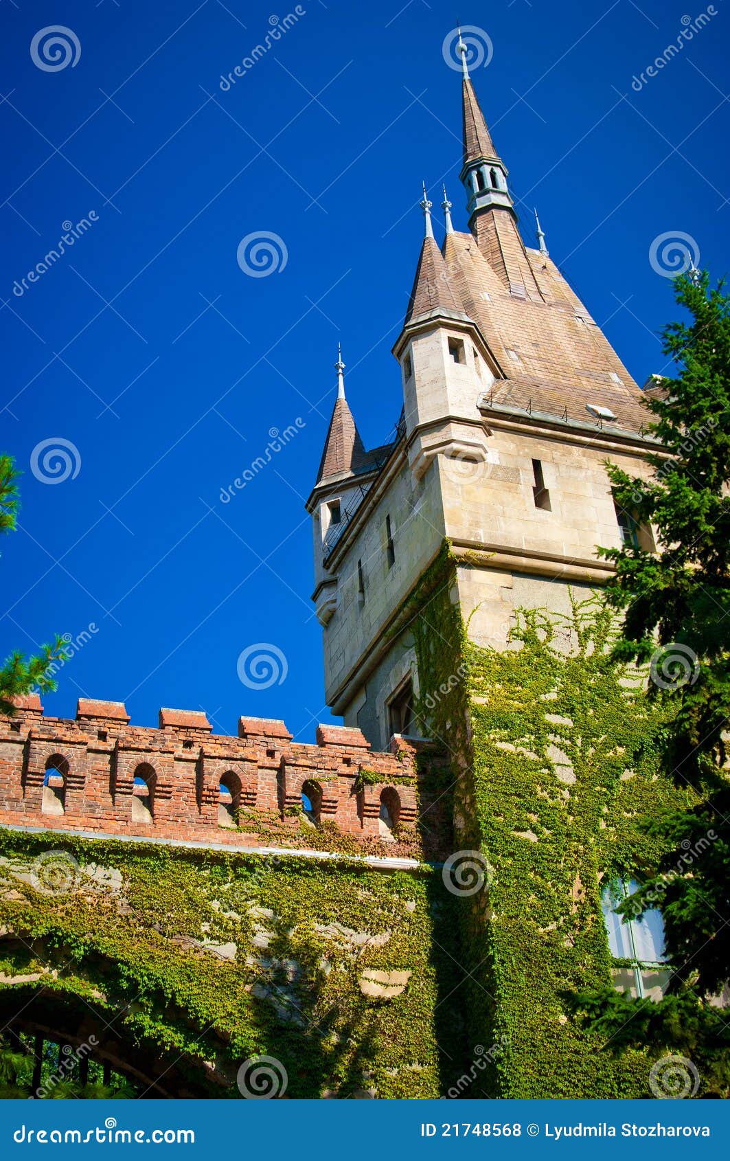 Vajdahunyad Castle stock photo. Image of baroque, fort - 21748568
