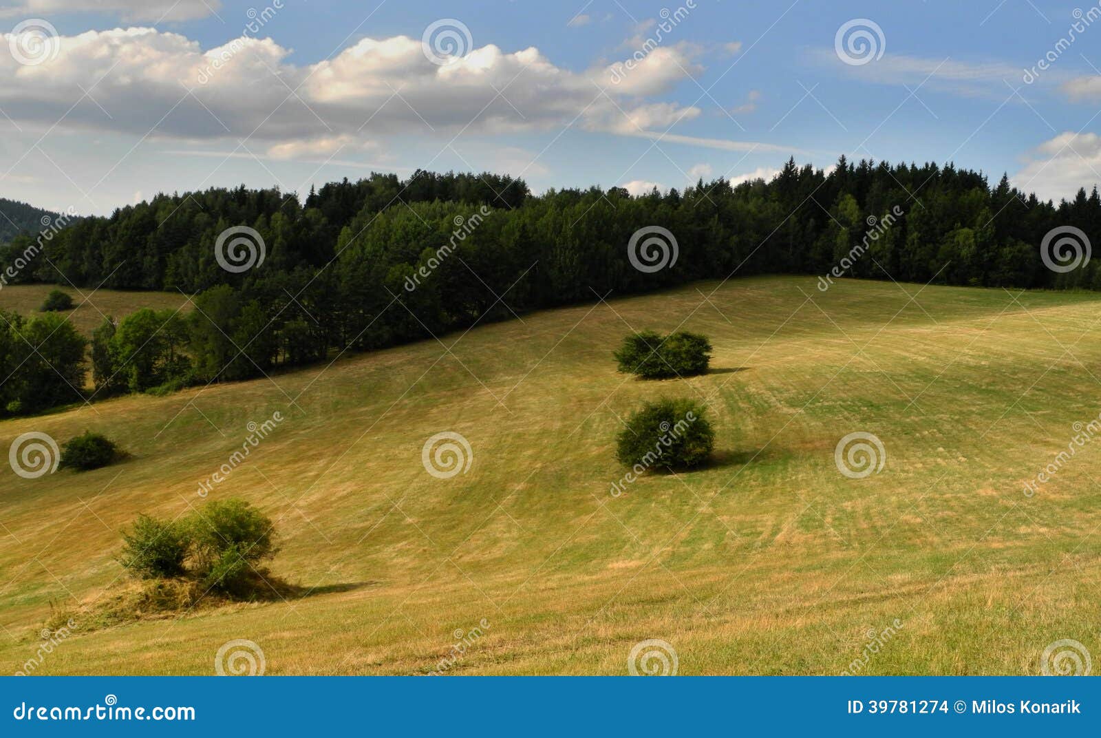 Valasska Senice stock photo. Image of wood, nature, trees - 39781274