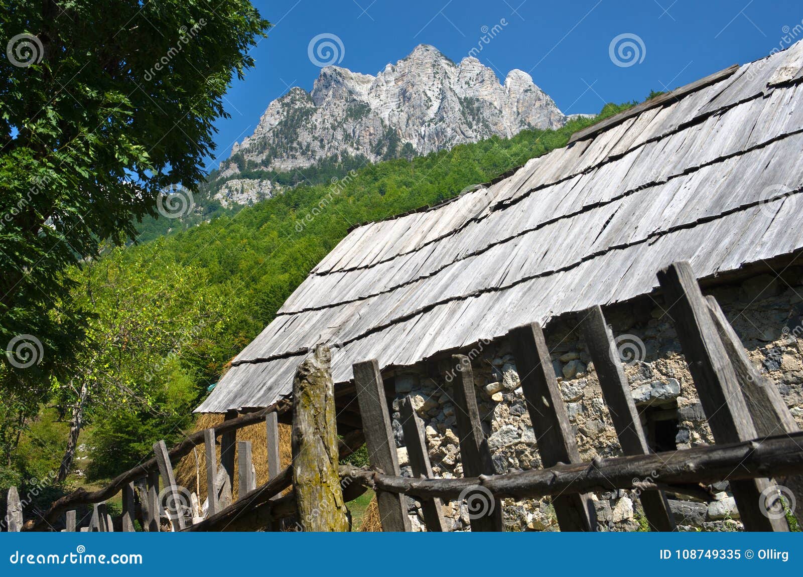 Valbona-Tal in Den Albanischen Alpen Stockbild - Bild von spitze, wald ...