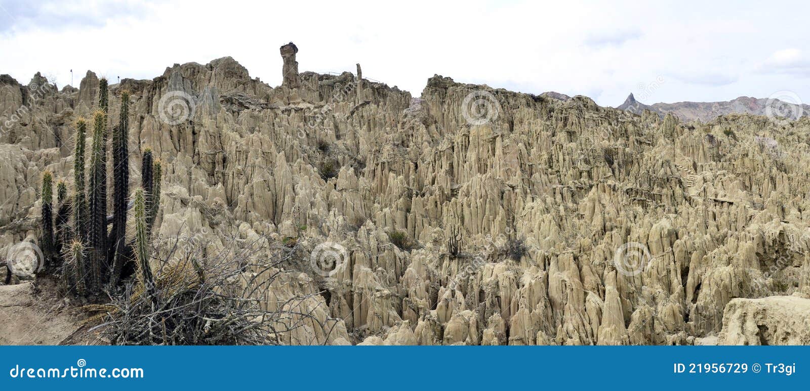 Vale Da Lua No La Paz Bolívia Com Cacto Imagem de Stock - Imagem de céu ...