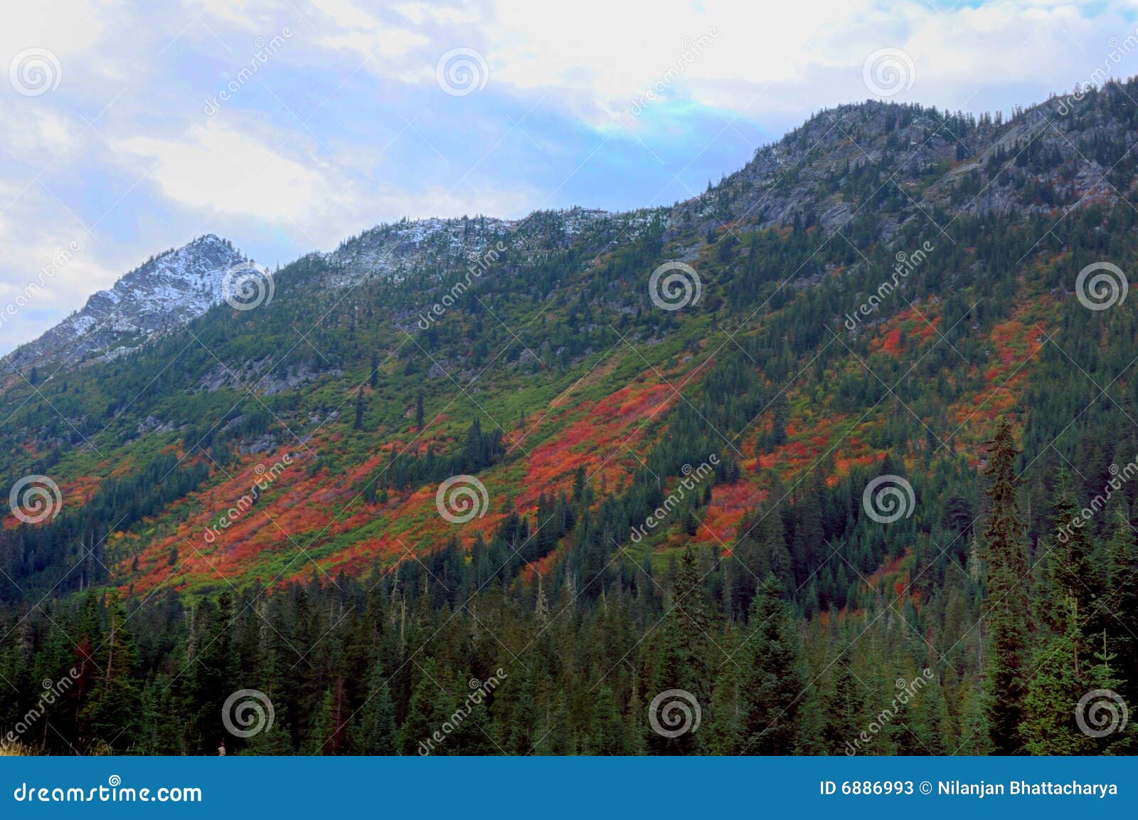 Vale Das Cores Imagem. Imagem: 6886993