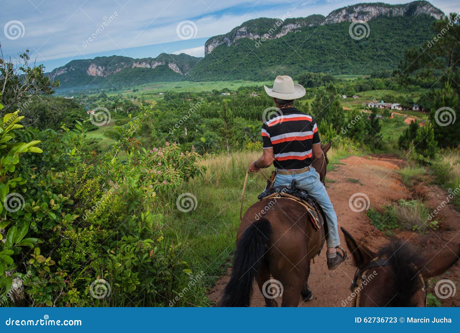 Vale De Vinales, Cuba - 24 De Setembro De 2015: Riddin Local Dos ...