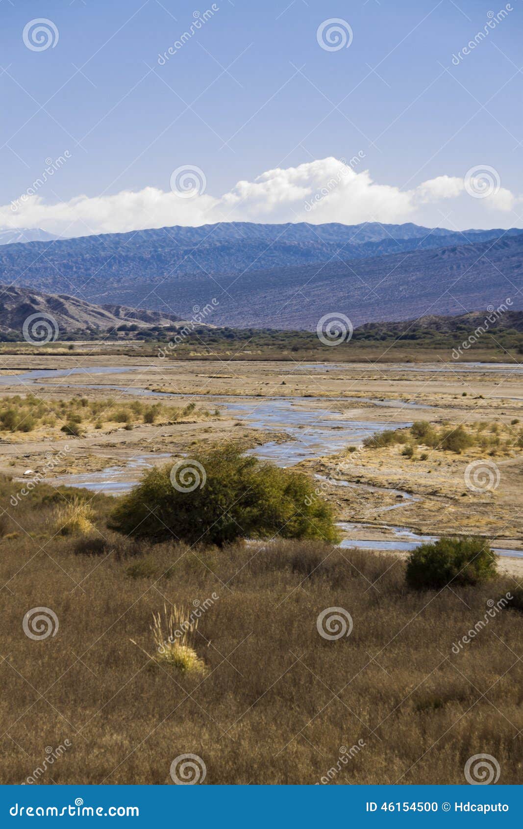 Vale e rio foto de stock. Imagem de paisagens, ecologia - 46154500