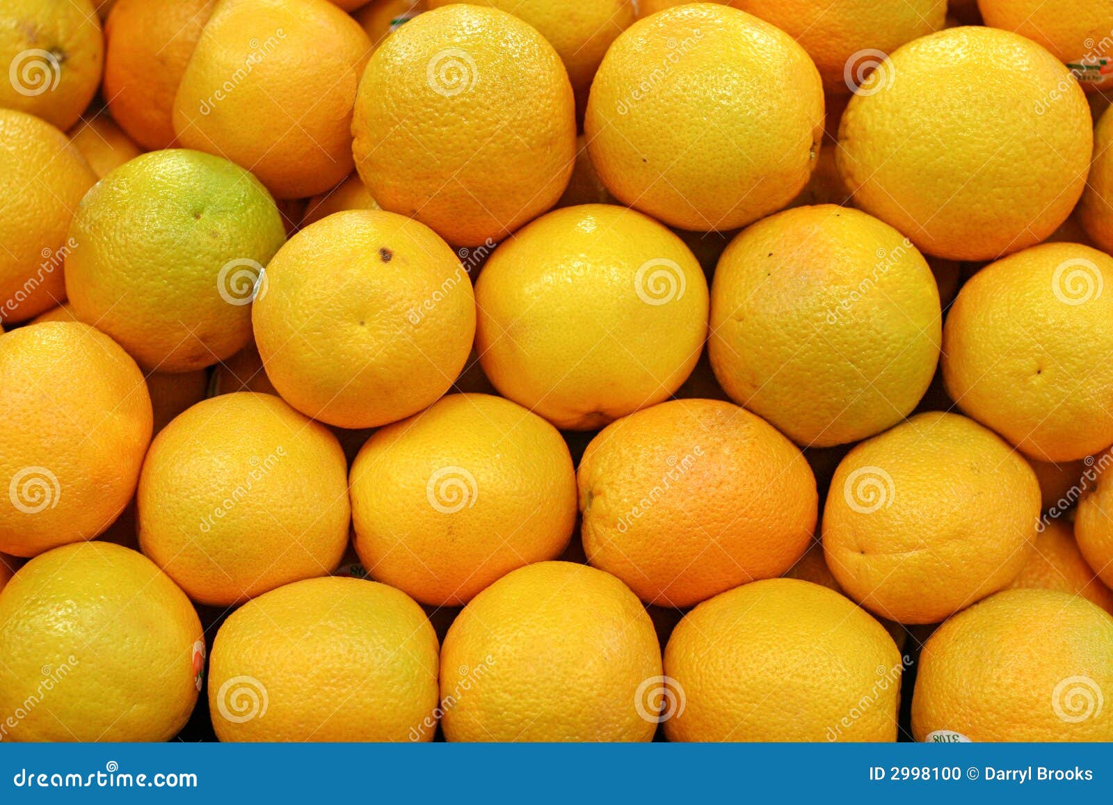 Valencia Oranges stock photo. Image of fresh, agriculture - 2998100