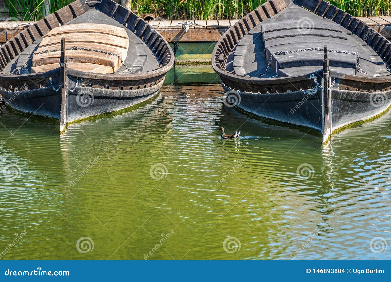 Valencia`s Lagoon on a Warm Spring Day Stock Photo - Image of travel ...