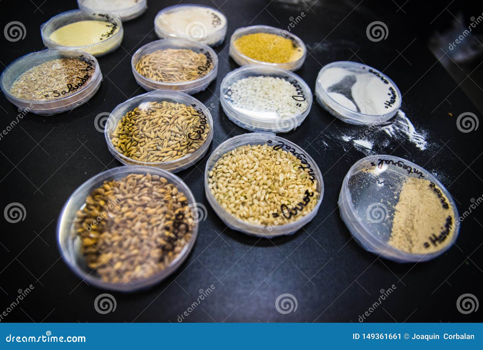 Seed Samples of Different Types of Cereals in a Laboratory, with and ...