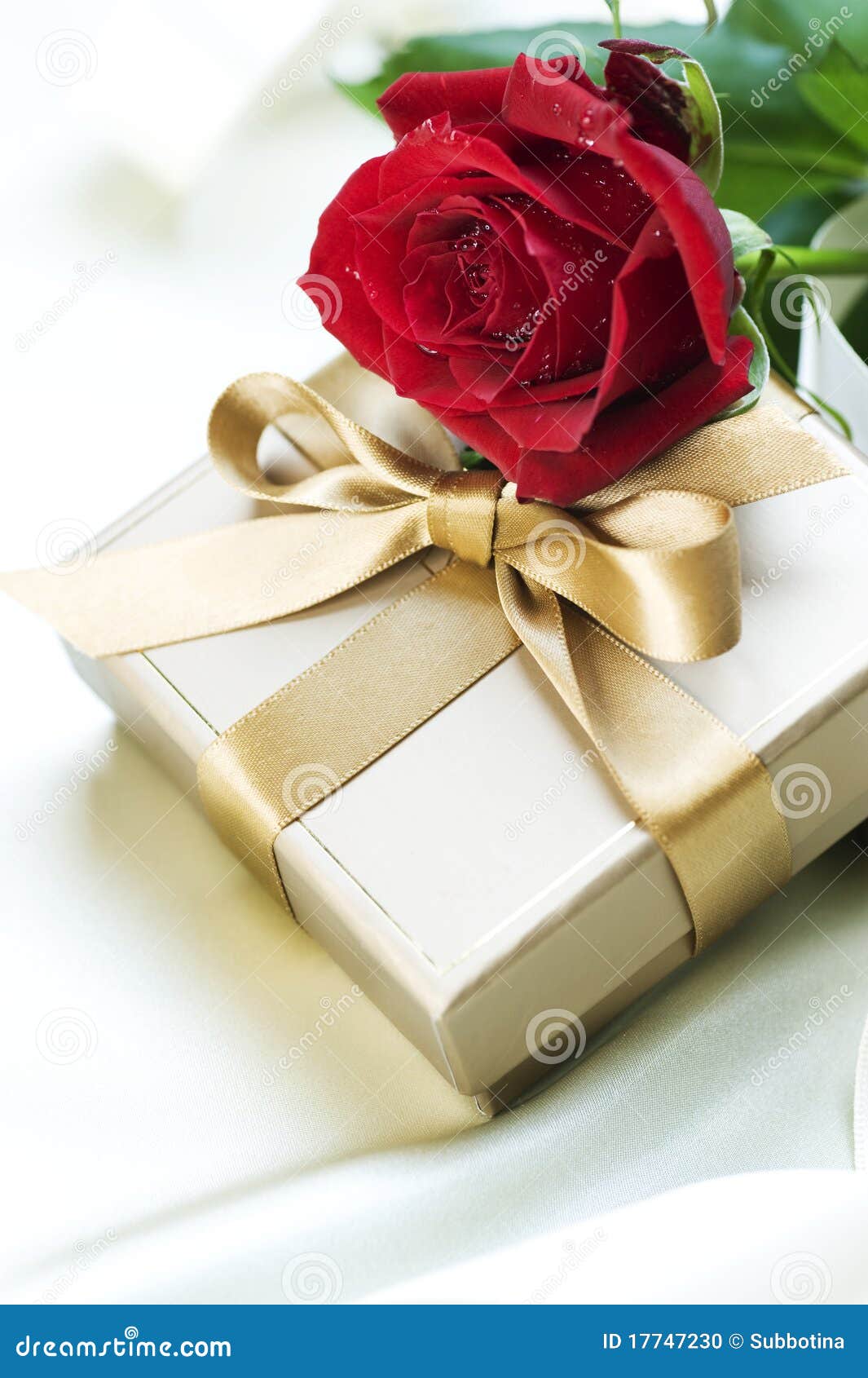 Valentine Gift stock photo. Image of colours, colors - 17747230