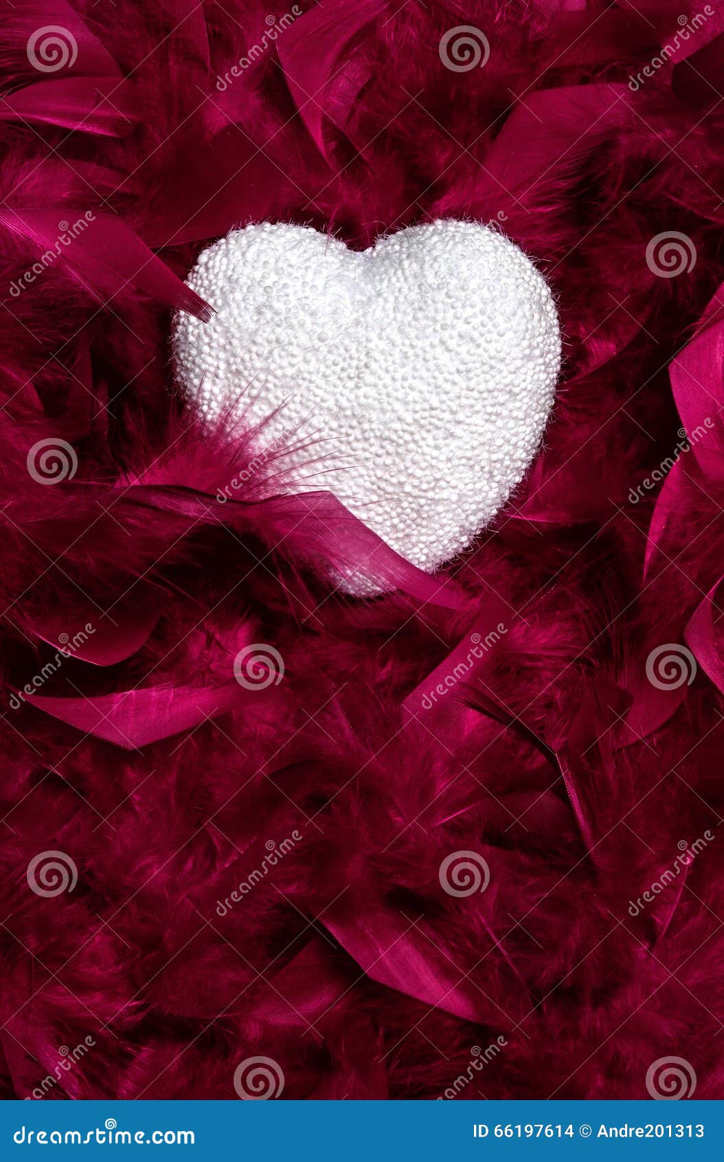 Valentine Heart in Feathers Stock Photo - Image of animal, feather ...