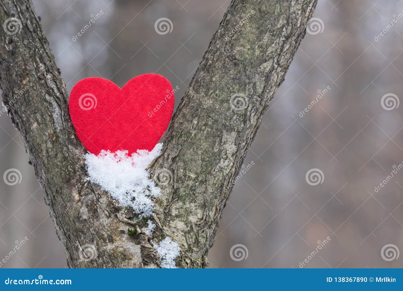 Valentine Heart between Two Trees in the Snow Stock Photo - Image of ...