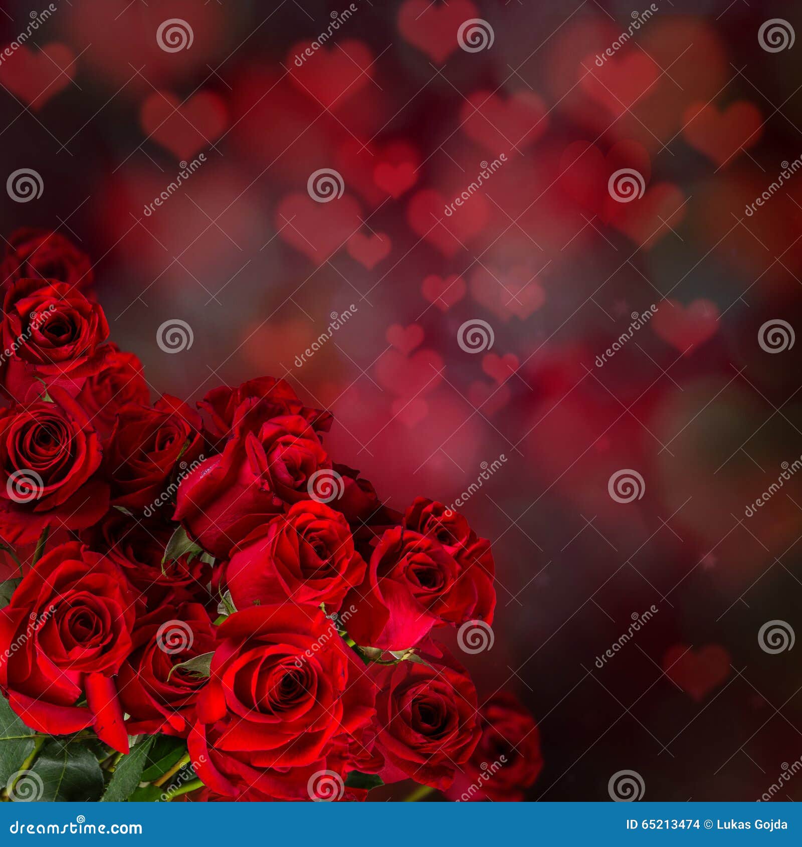 Valentine Red Rose Abstract Background. Stock Photo - Image of bokeh ...