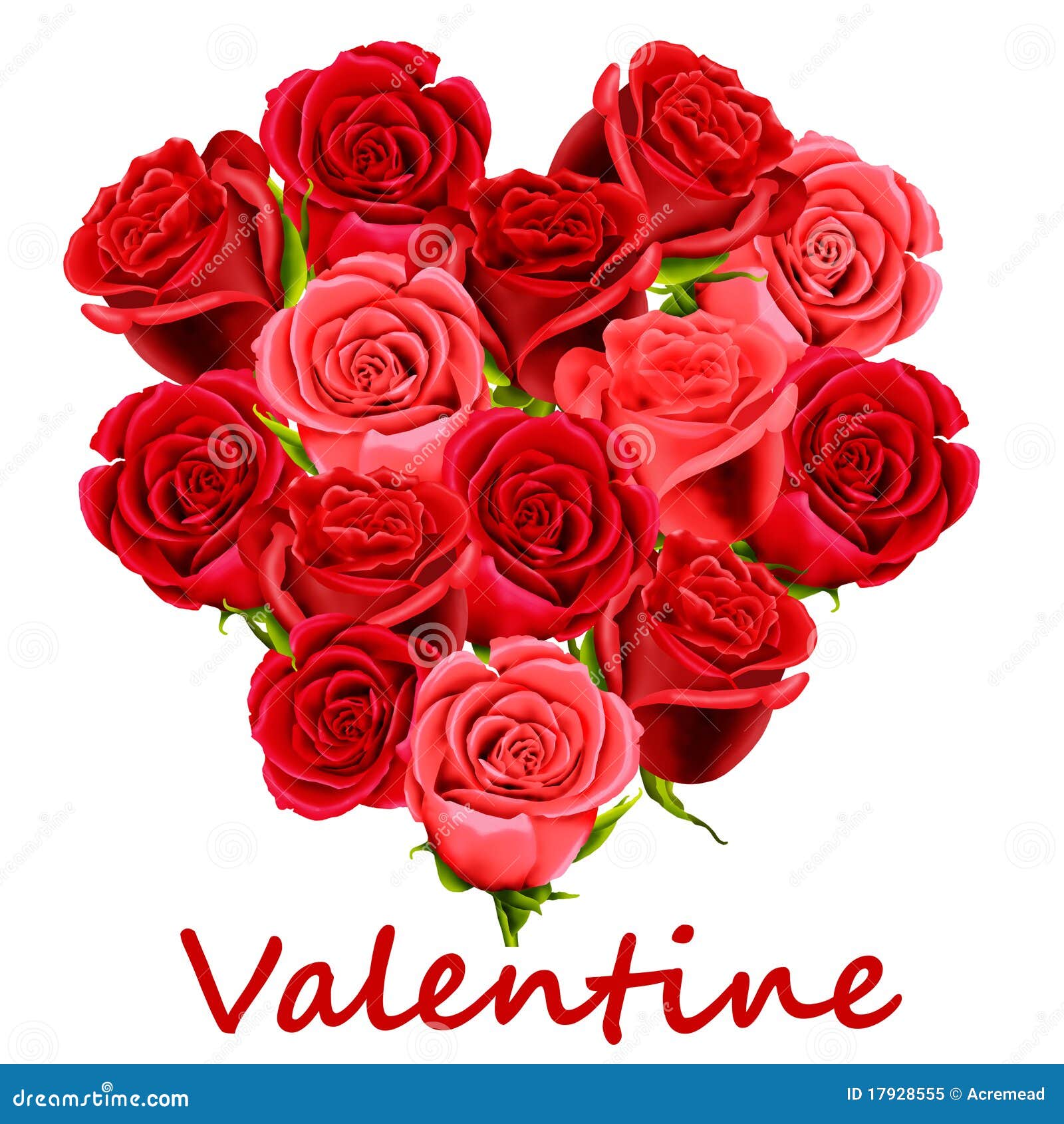 Valentine red roses stock image. Image of isolated, white - 17928555