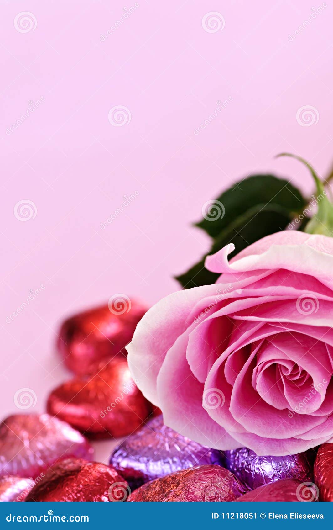 Valentine rose and candy stock image. Image of flower - 11218051