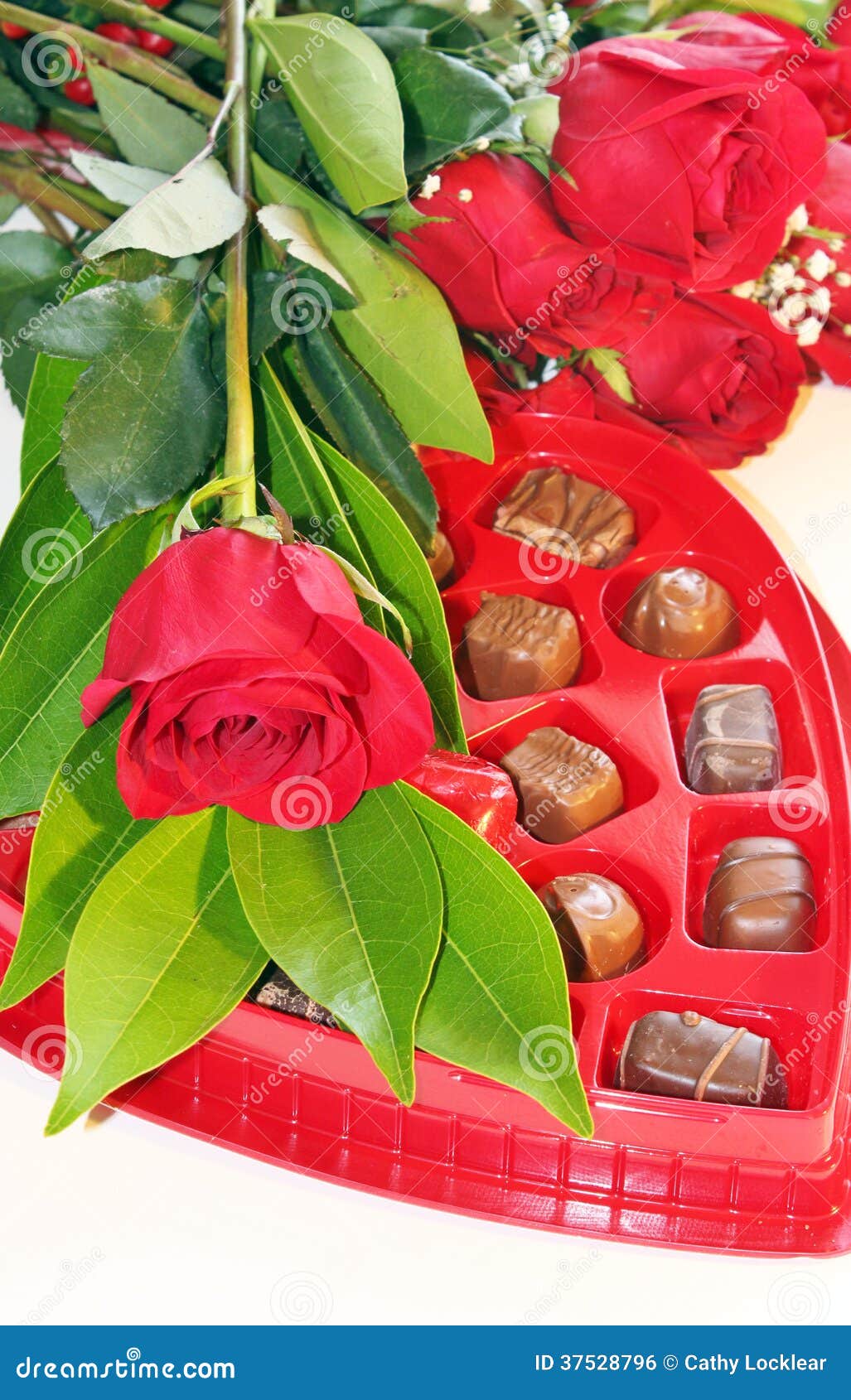 Valentine s Celebration stock photo. Image of flower - 37528796