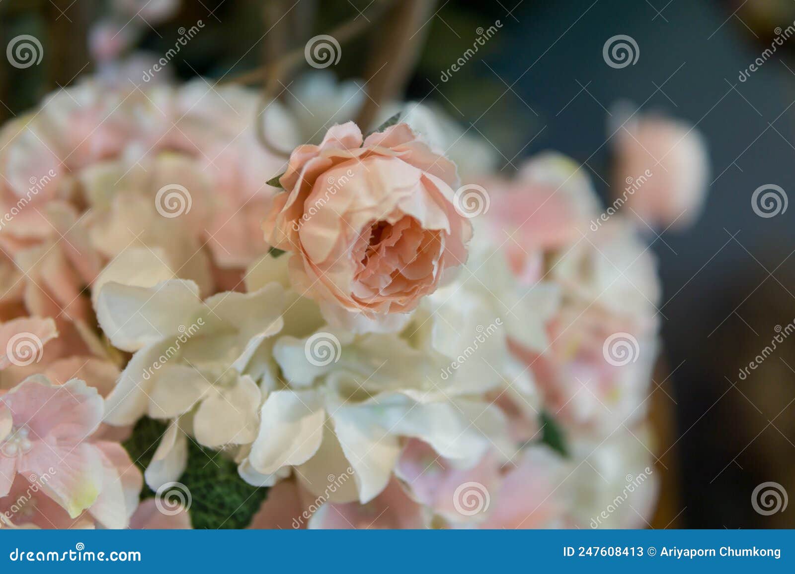 Beautiful Plastic Rose Flower Background Stock Image - Image of flower ...