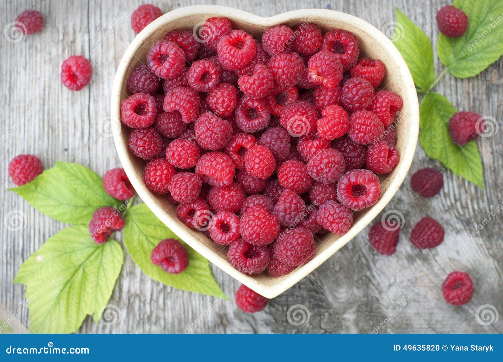 Valentine s raspberry stock photo. Image of nature, favourite - 49635820