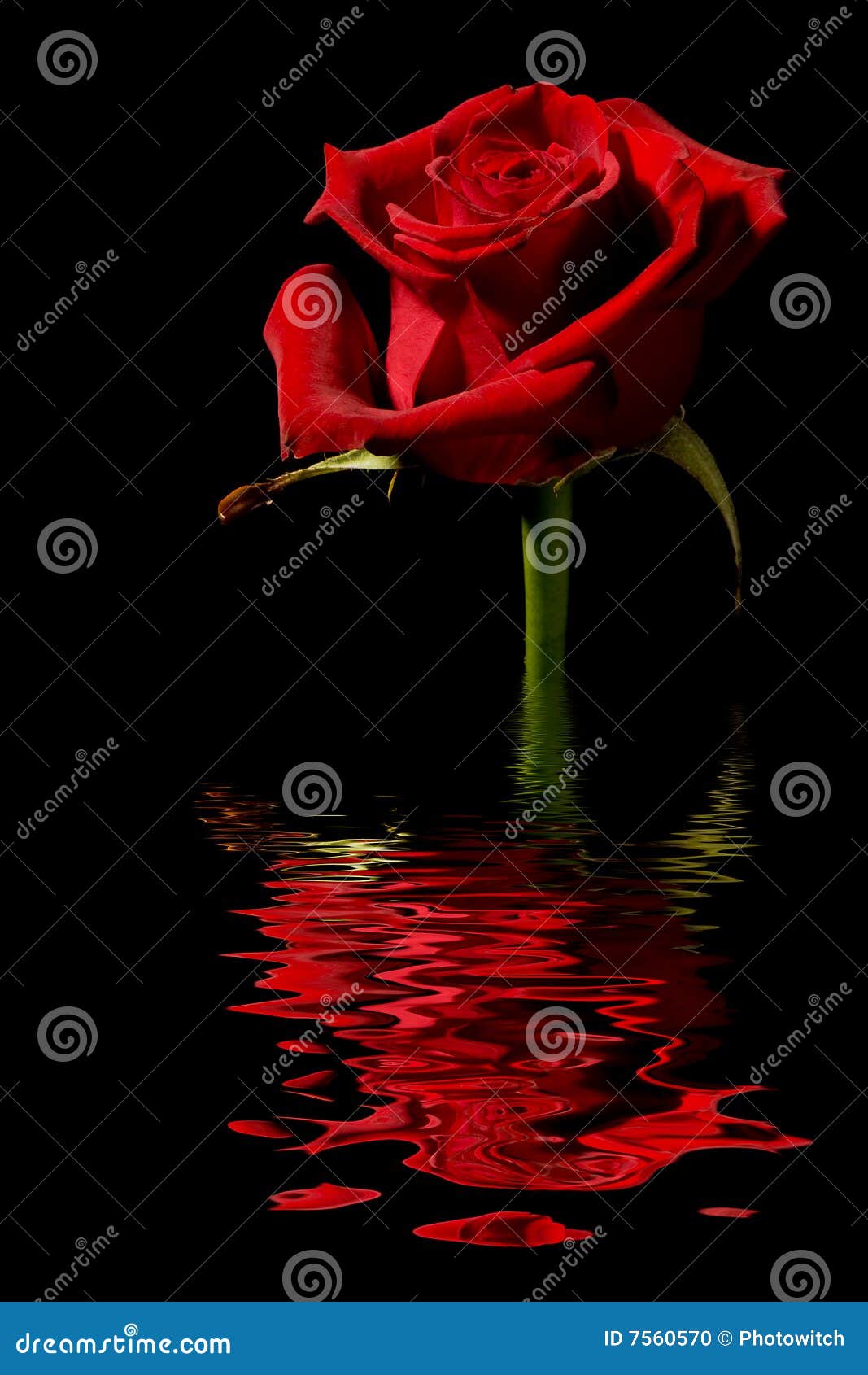 Valentine s reflections stock photo. Image of beautiful - 7560570