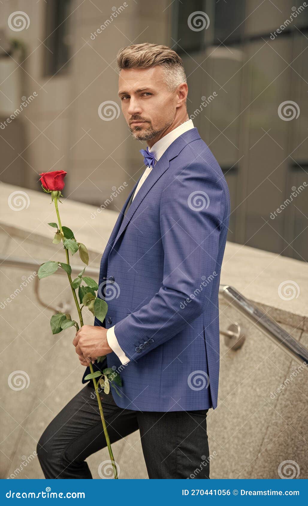 Valentines Day Concept Mature Tuxedo Man With Valentines Rose Stock