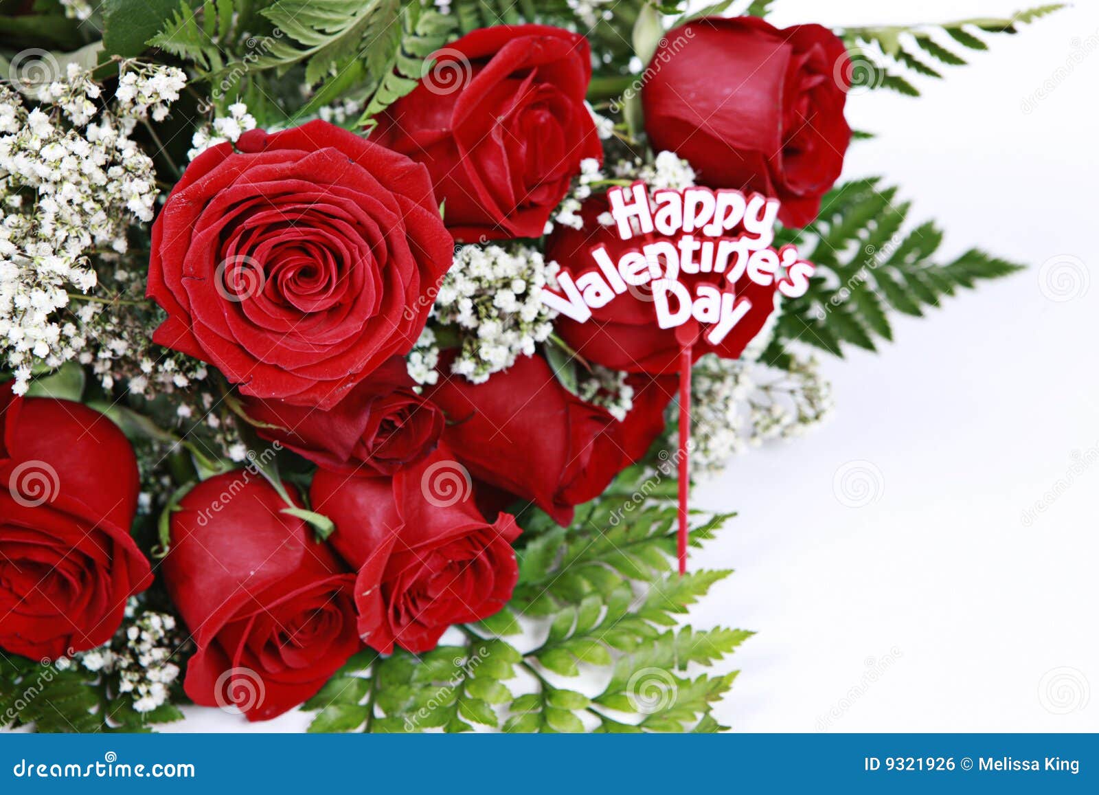Valentines Roses stock photo. Image of flora, still, flower - 9321926