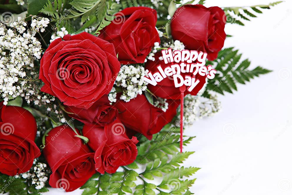 Valentines Roses stock photo. Image of flora, still, flower - 9321926