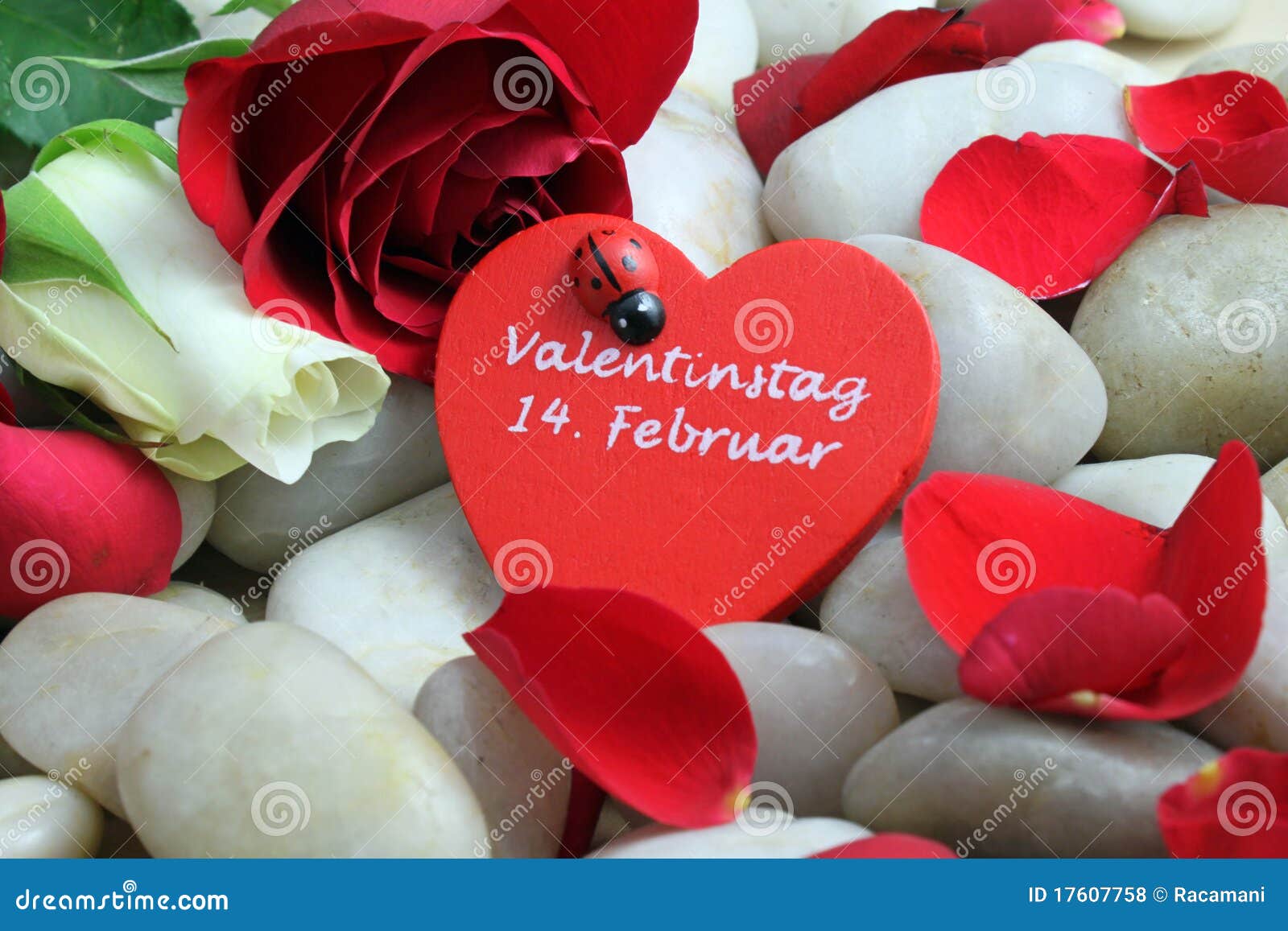 Valentinstag stock photo. Image of roses, design, stone - 17607758