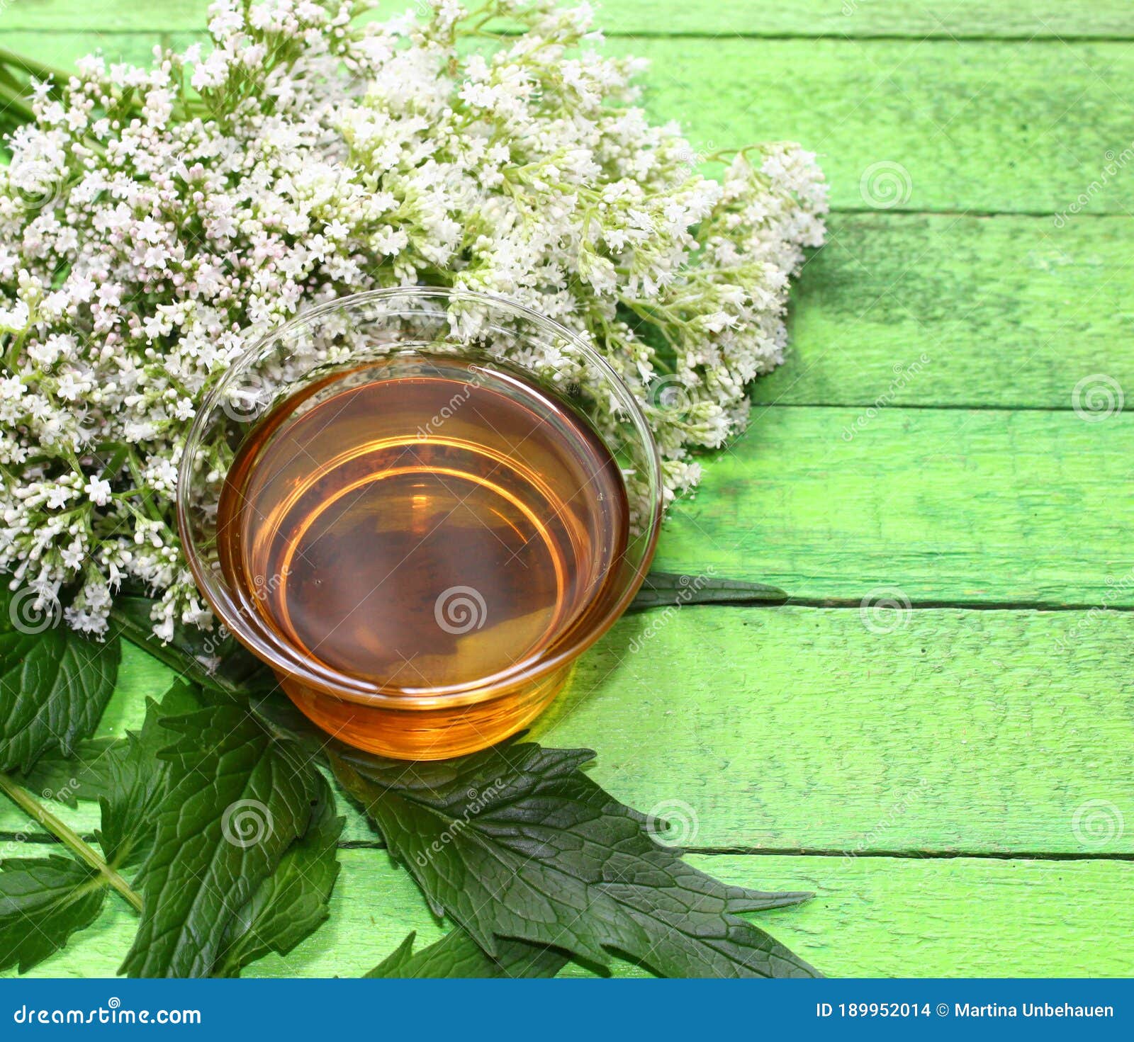 Valerian Tea on Green Boards Stock Photo - Image of medicine, plant ...