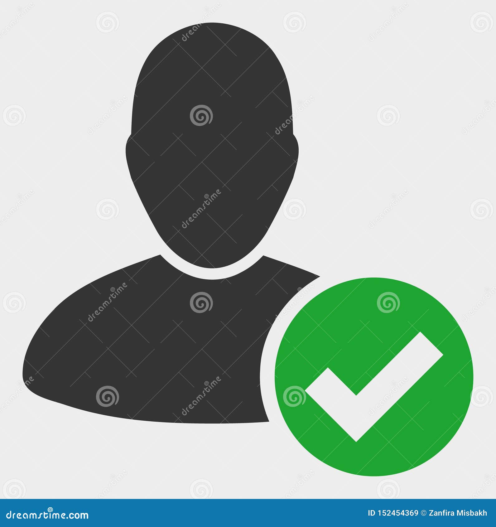 Valid User Icon. Flat Gray Iconic Symbol. Checkmark. Royalty-Free ...