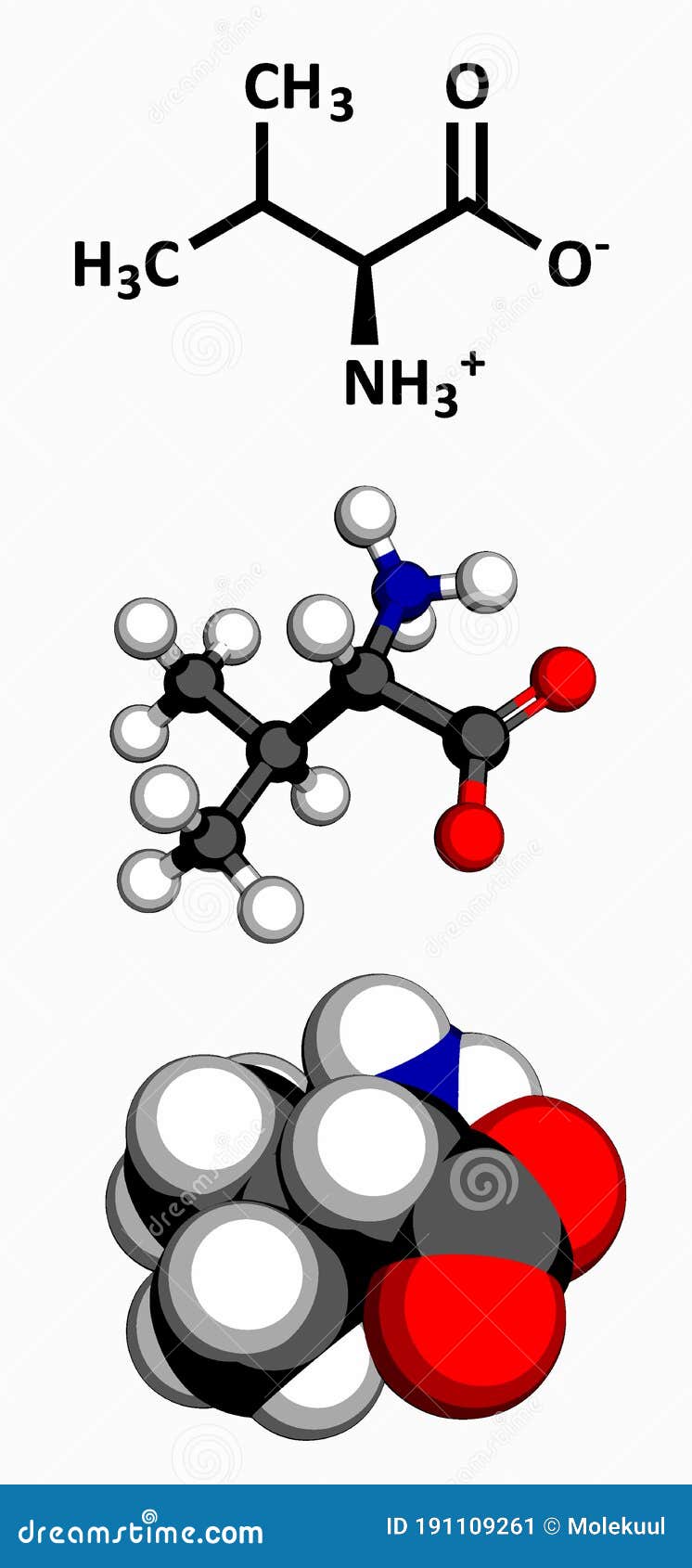 Valine L-valine, Val, V Amino Acid Molecule. Stock Vector ...