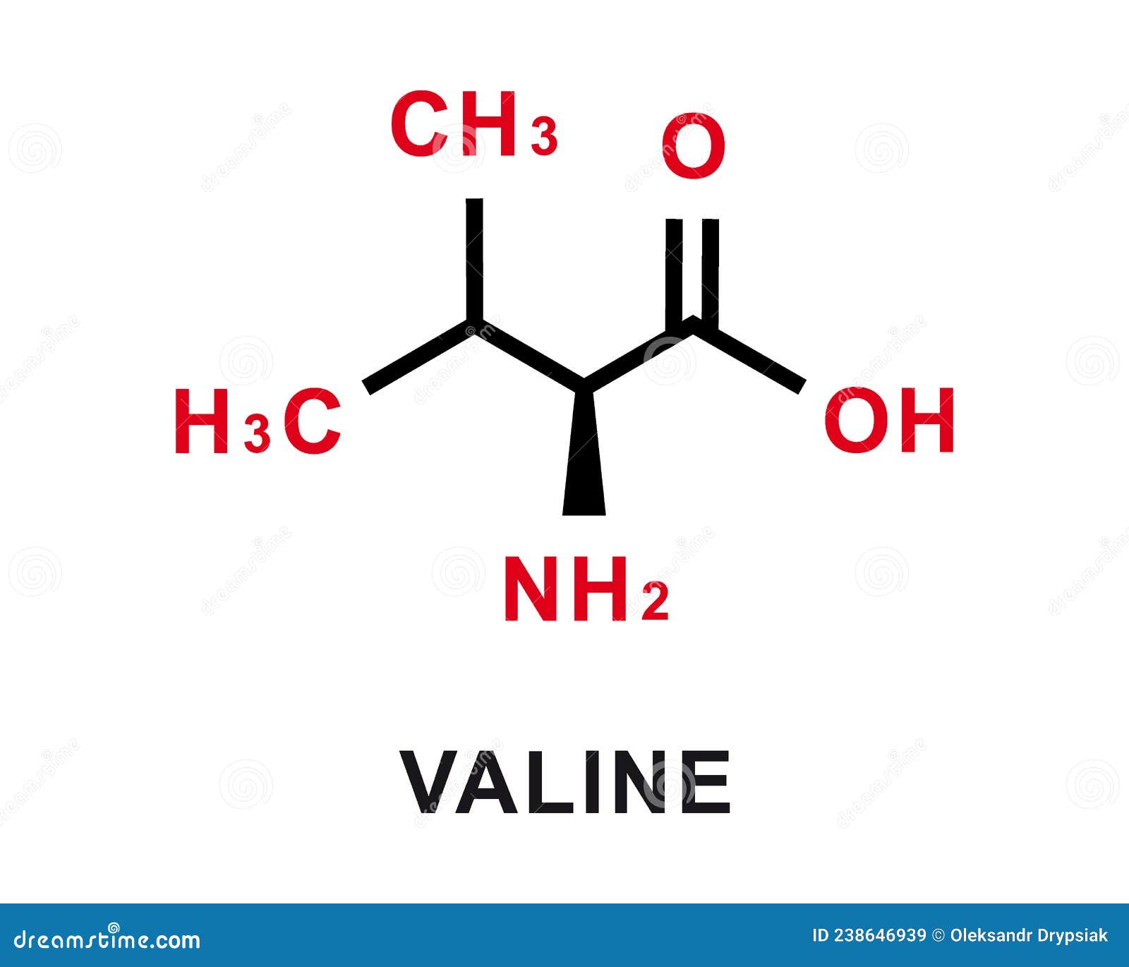 Valine Chemical Formula. Valine Chemical Molecular Structure. Vector ...